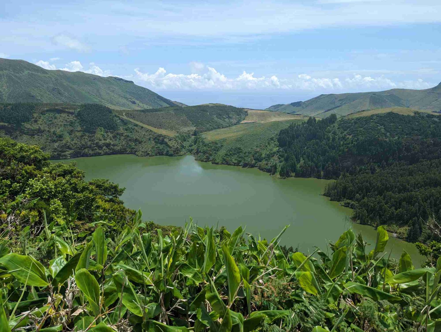 A Guide to Flores Island, Azores: 10+ Great Things to See & Do ...
