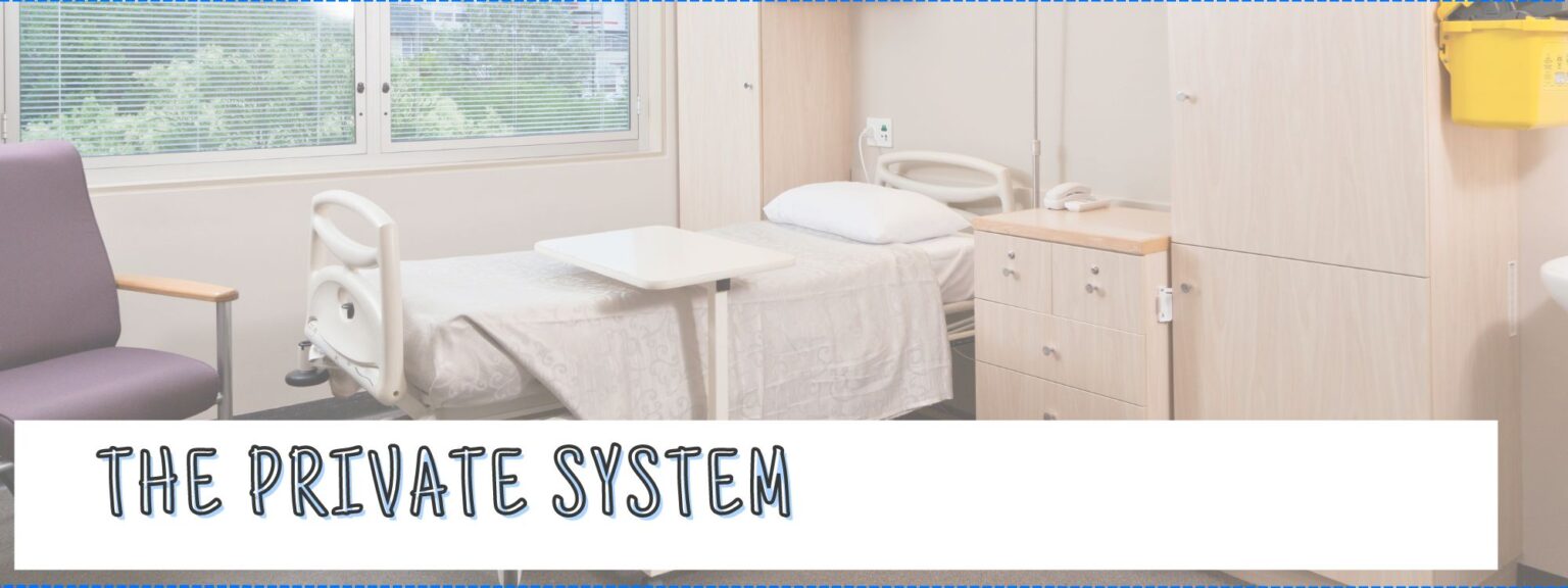 Understanding the Portuguese Healthcare System - Portugalist