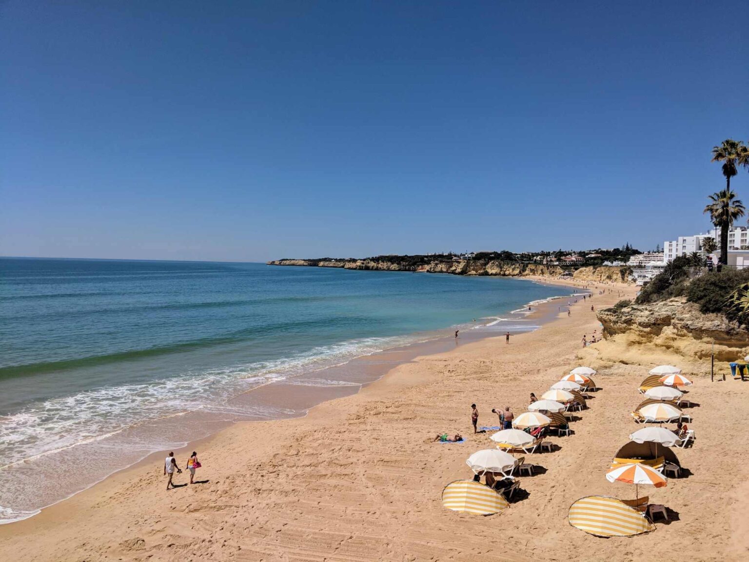 A Guide to Living in the Central Algarve - Portugalist