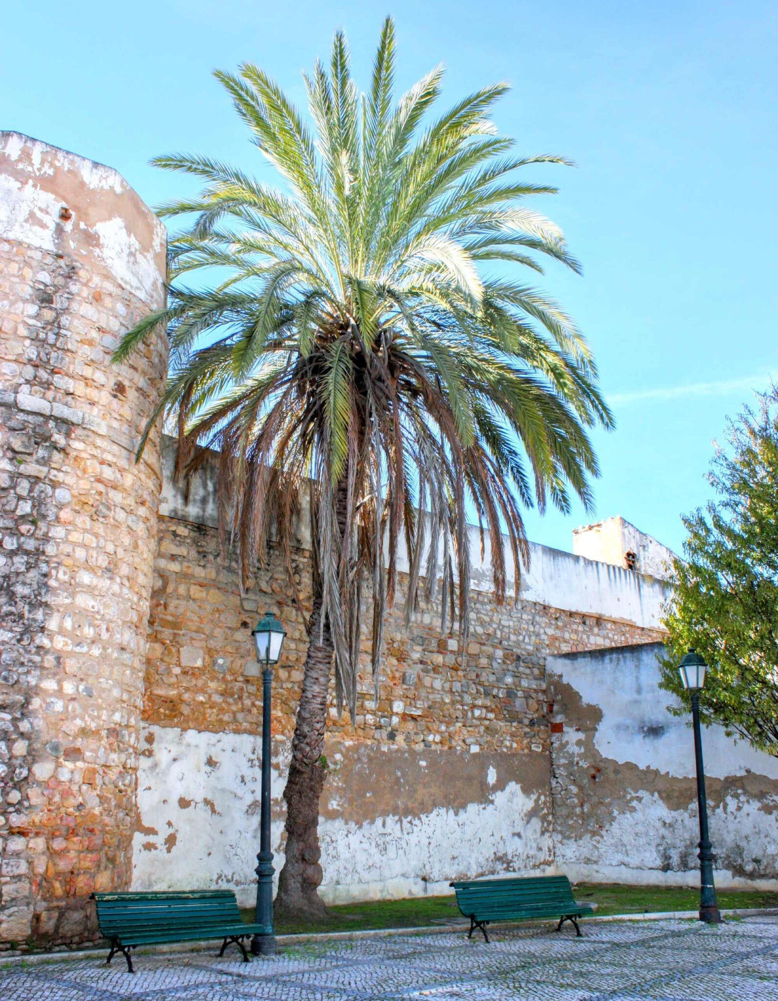 Faro Guide: What Is It Like to Live in Faro? - Portugalist